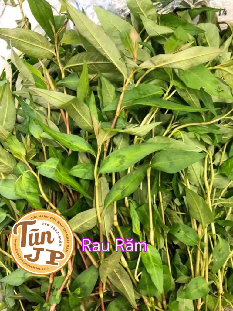Rau răm – Cửa Hàng Người Việt Tại Nhật Bản