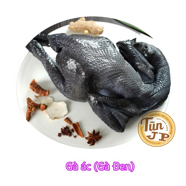 Gà ác (Gà đen) – Cửa Hàng Người Việt Tại Nhật Bản