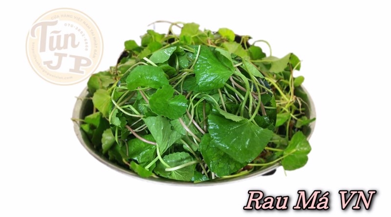 Rau Má Tươi – Cửa Hàng Người Việt Tại Nhật Bản